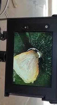 מאתר נזילות - proview - YouTube