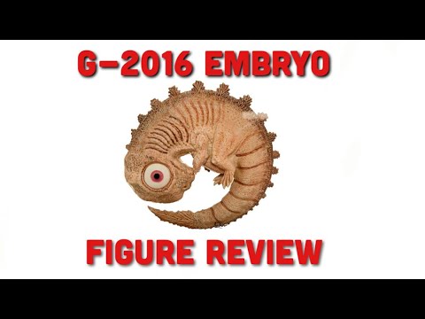 Rebor G-2016 Embryo Figure Review