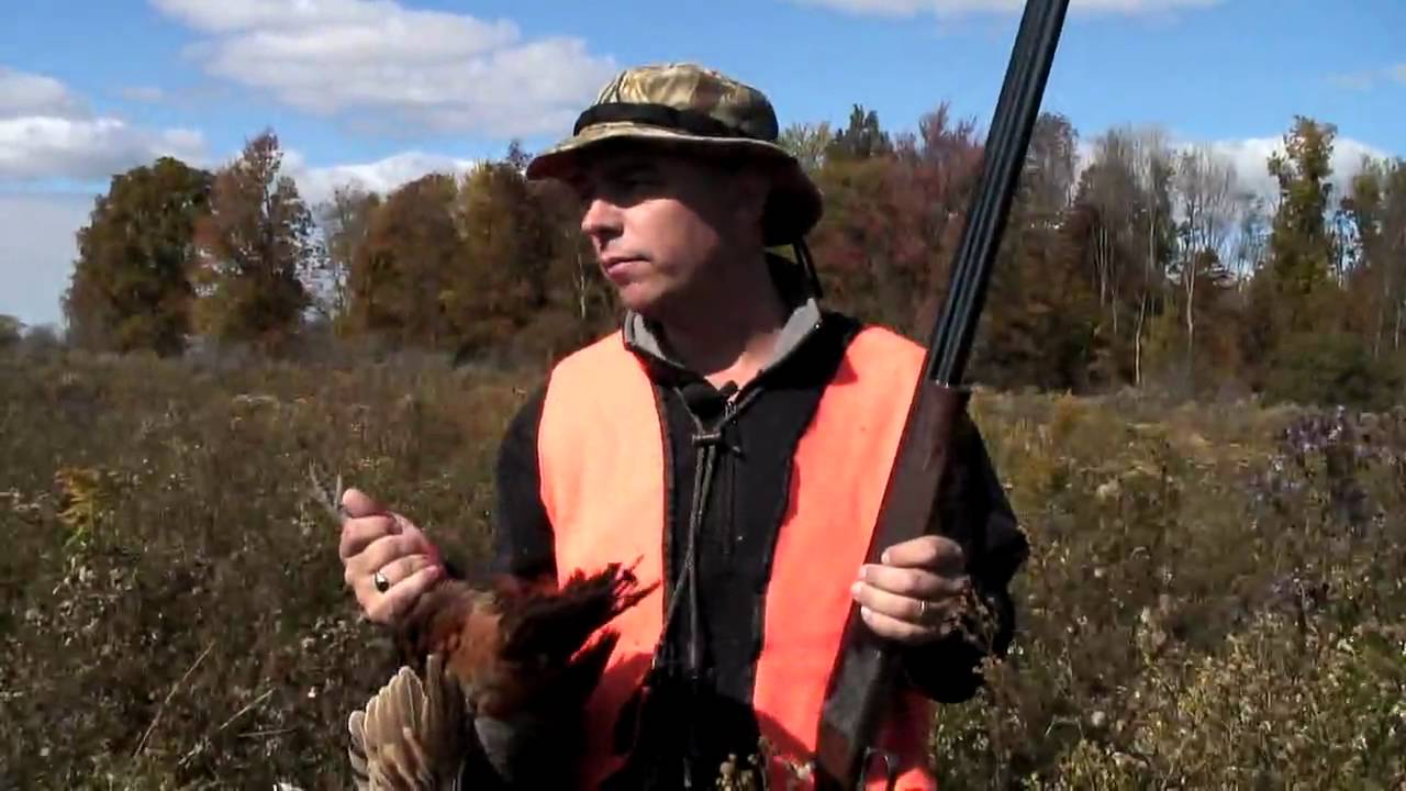 Pheasant Hunt fall and winter - YouTube