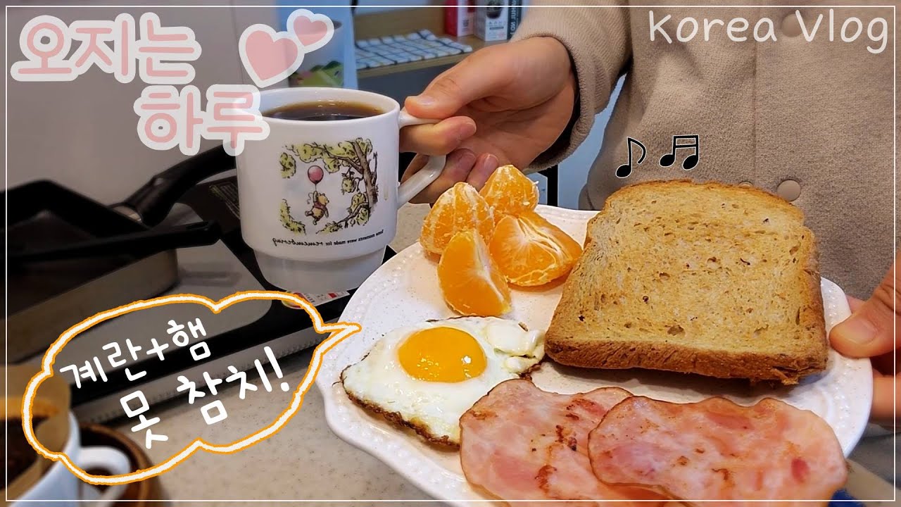Vlog 평범한 자취 일상 부이로그🌻소중한 아침|자취 일상|아침 먹방|반려인의 삶🐶|장보기|자취생은 서글퍼|과일 값 감당가능