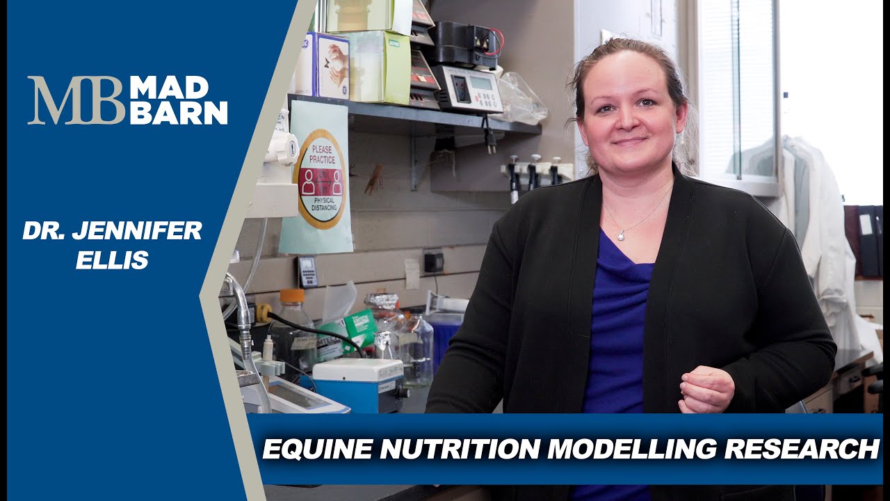 Dr. Jennifer Ellis Discusses her Equine Nutrition Modelling Research ...