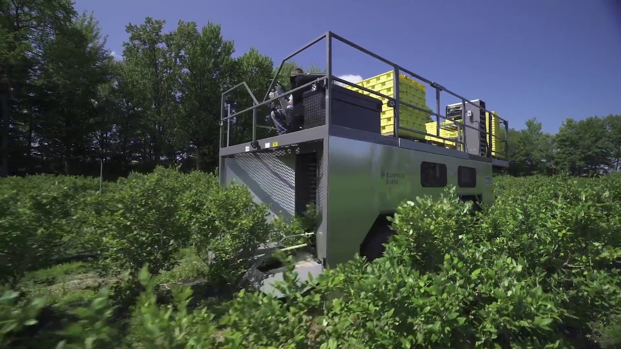 Plant Sap Analysis by NEWAGE Laboratories - YouTube