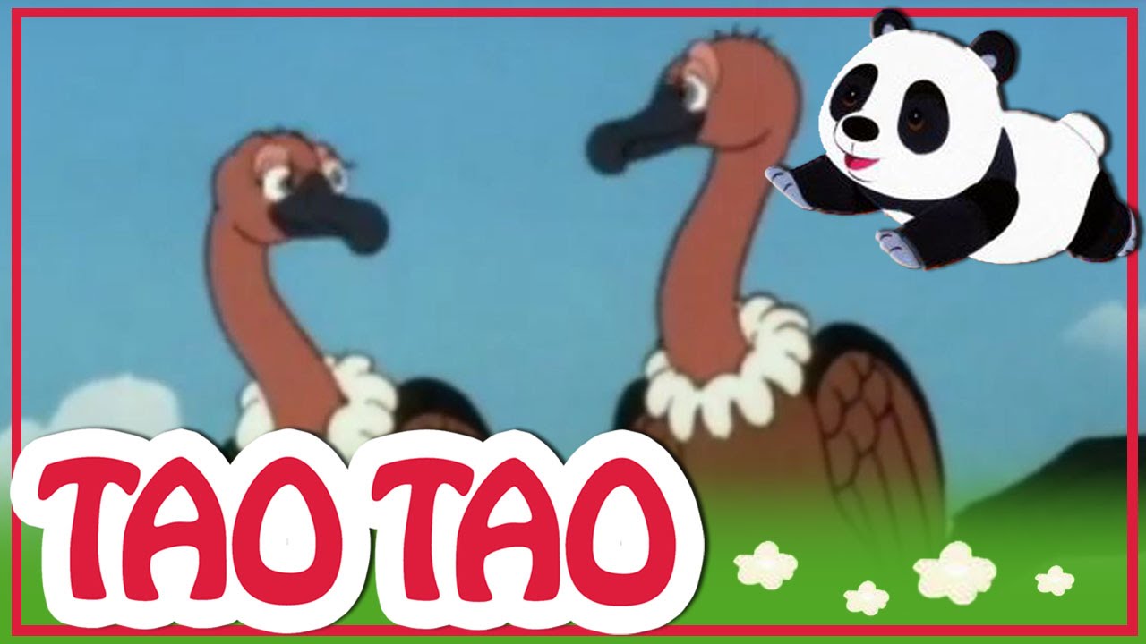 Tao Tao - Episódio 8 - Careful Bat - YouTube