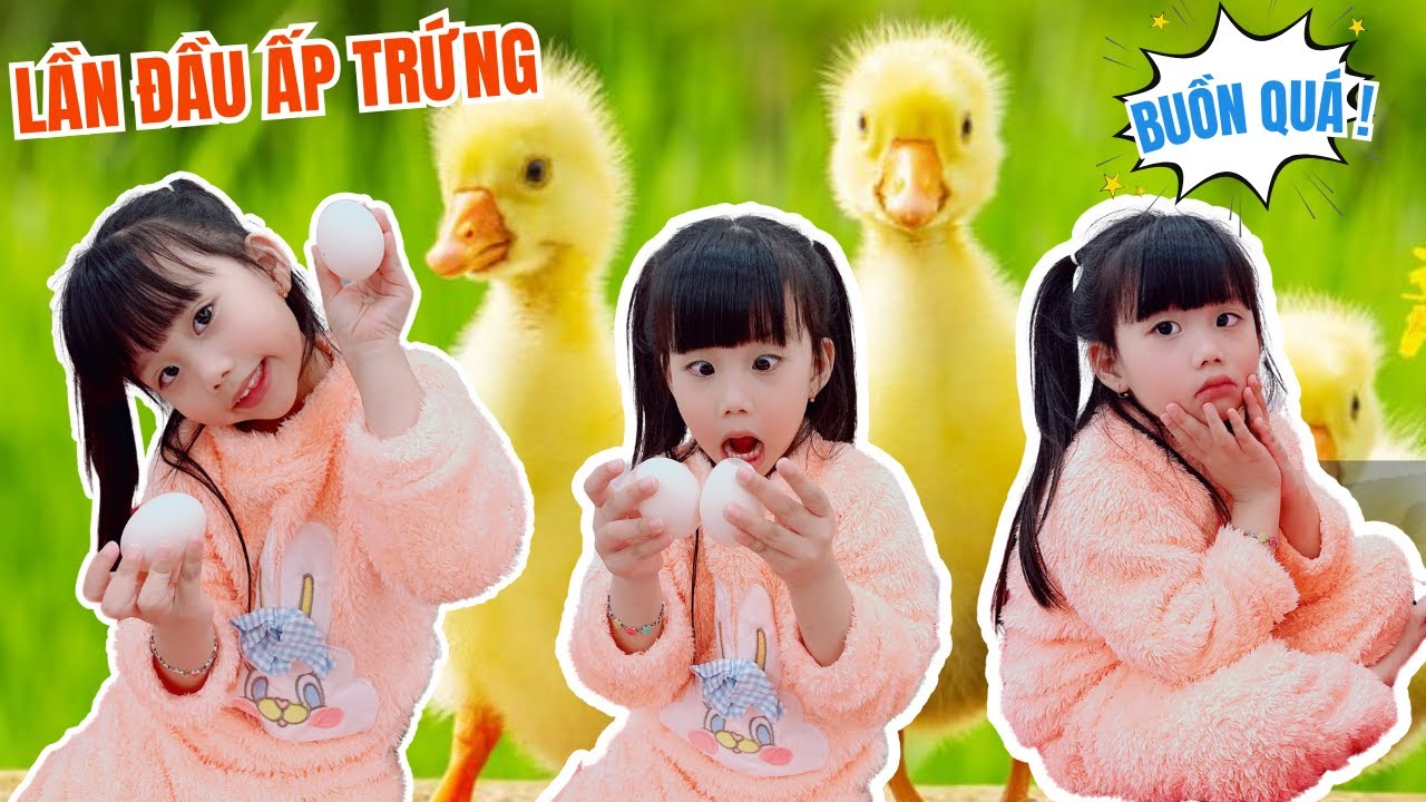 Lần Đầu Ấp Trứng Giống Chị Mint Vy, Em MiMi Buồn Vì Ấp Mãi Trứng Không ...