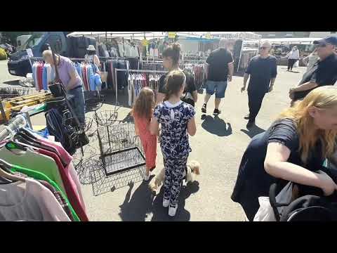 Masham market