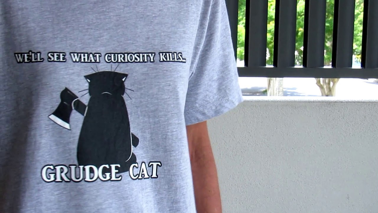 grudge cat - YouTube