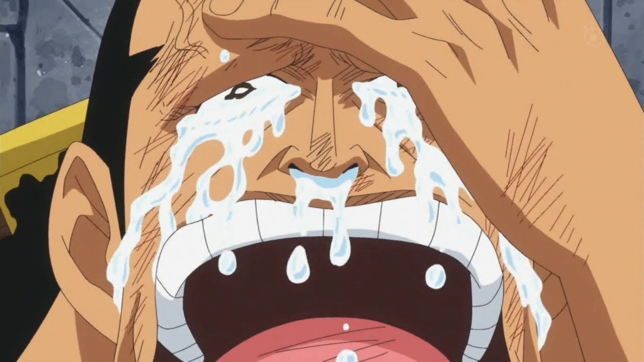 The best crying sequence in One Piece - YouTube