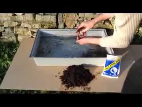 Oclansorb Best Oil Absorber Demo - YouTube