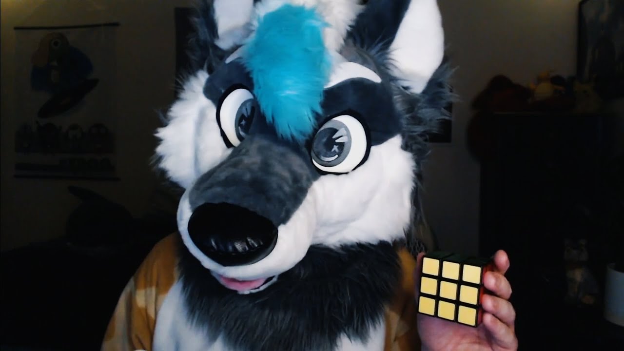 Dumb Wolf Solving Rubik Cube [FURRY ASMR] - YouTube