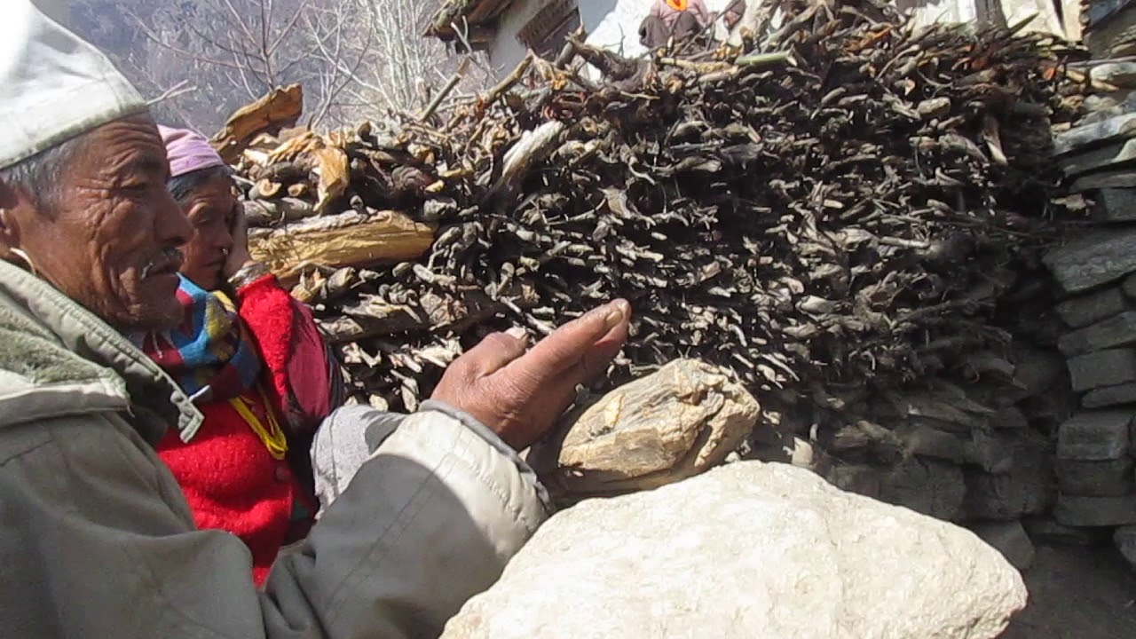 Traditional healer of Humla - YouTube