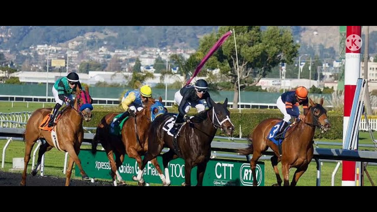 Santa Ana racing today April 16,2022 | tips analysis today @mastertips2 ...