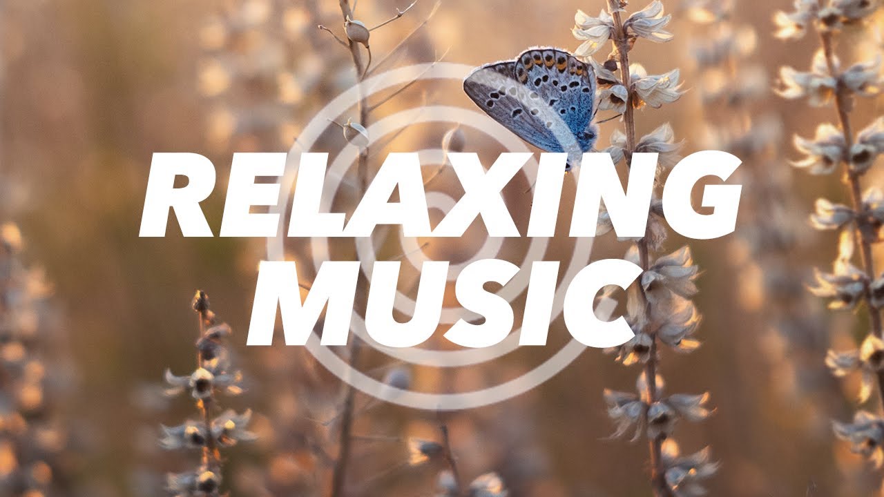 Zen Sleep Music: Calming Lullaby Tones for Adults to Relax and Sleep ...