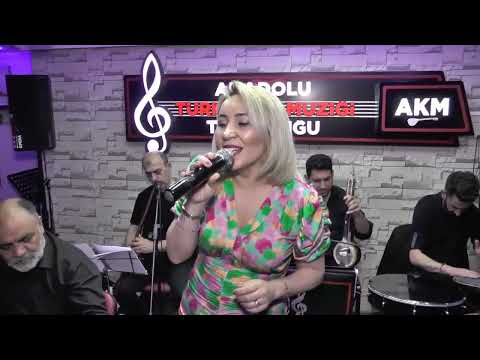 Aylı Gece Serin Külek Göy Çemen Ayşe ERKAN ...