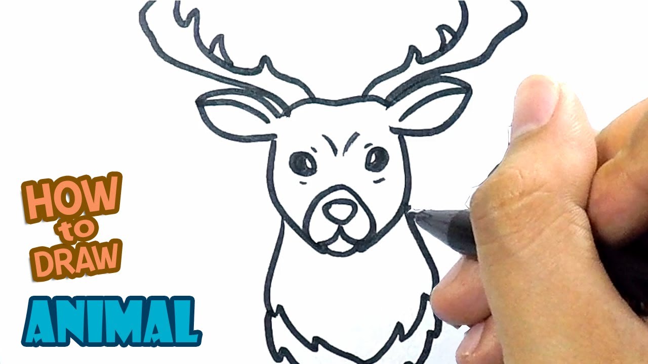 How to Draw Animal | Drawing Animal Step by Step | Drawing deer - YouTube