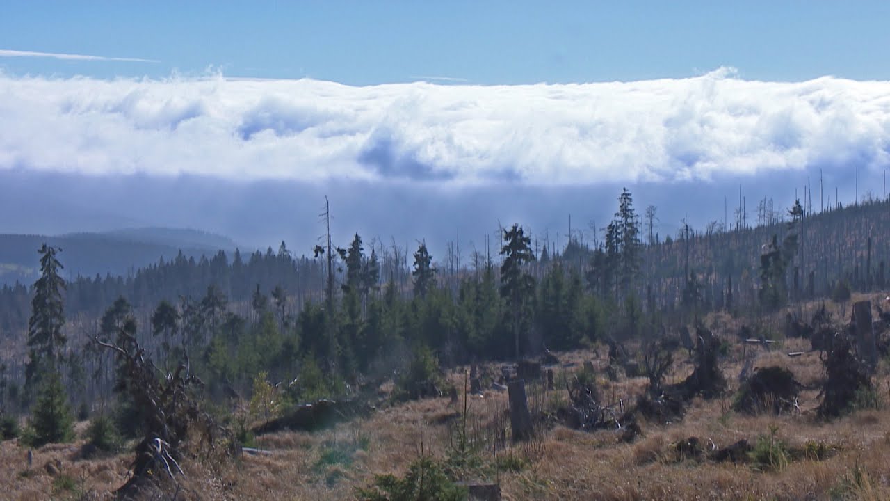 Tohle je Šumava...na podzim - YouTube