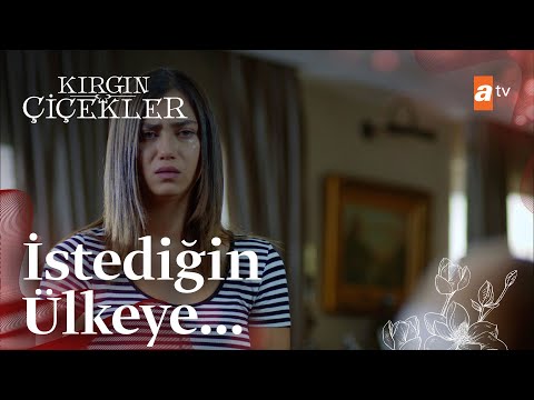 Ejder'in, Meral'i ülkeden gönderme teklifi? - Kırgın Çiçekler 94. Bölüm