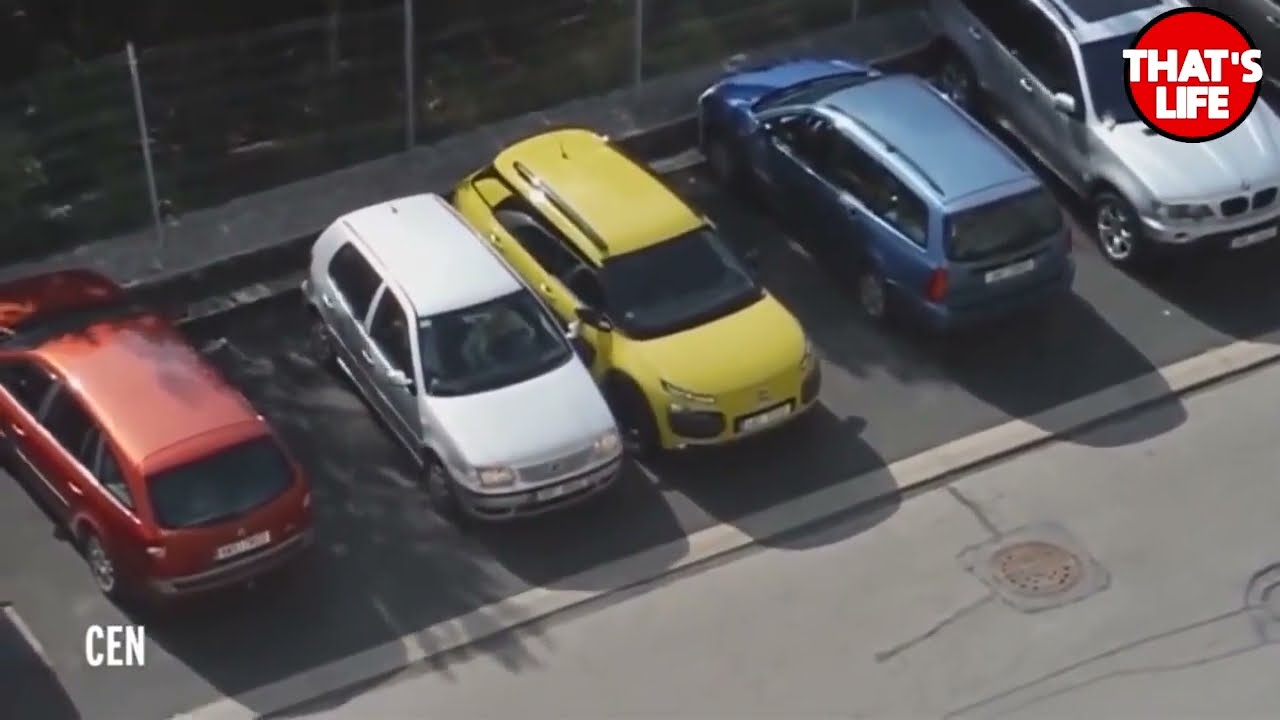 Funny Parking FAILS I Painful to watch | Funny Fails - YouTube