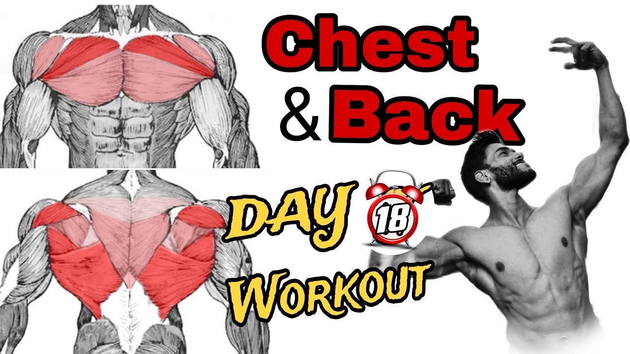 The Ultimate Chest & Back Workout (Day 18) - YouTube