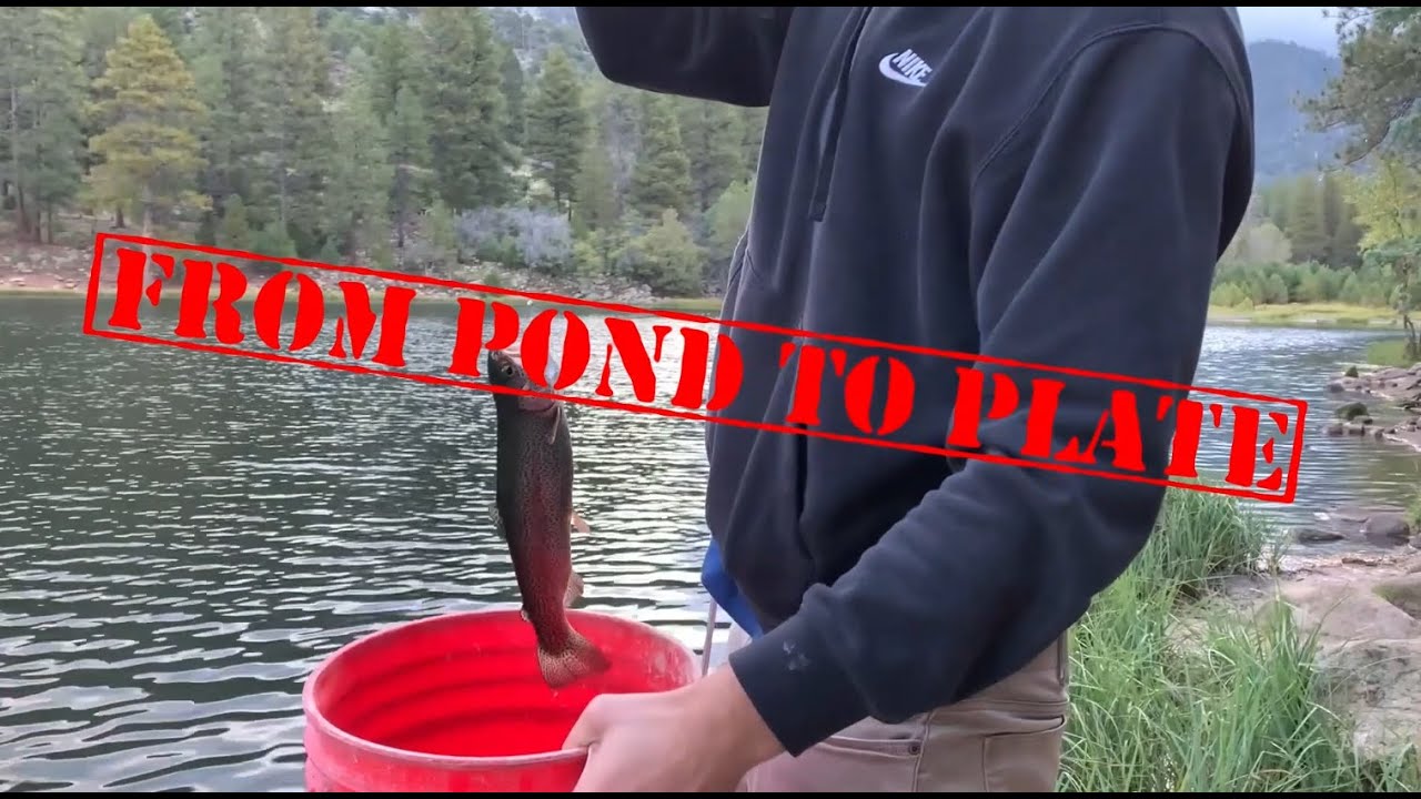 Southern Utah Fish Force Episode 2 - From Pond to Plate - YouTube