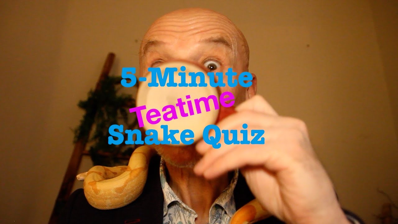 5-Minute Teatime Snake Quiz - YouTube