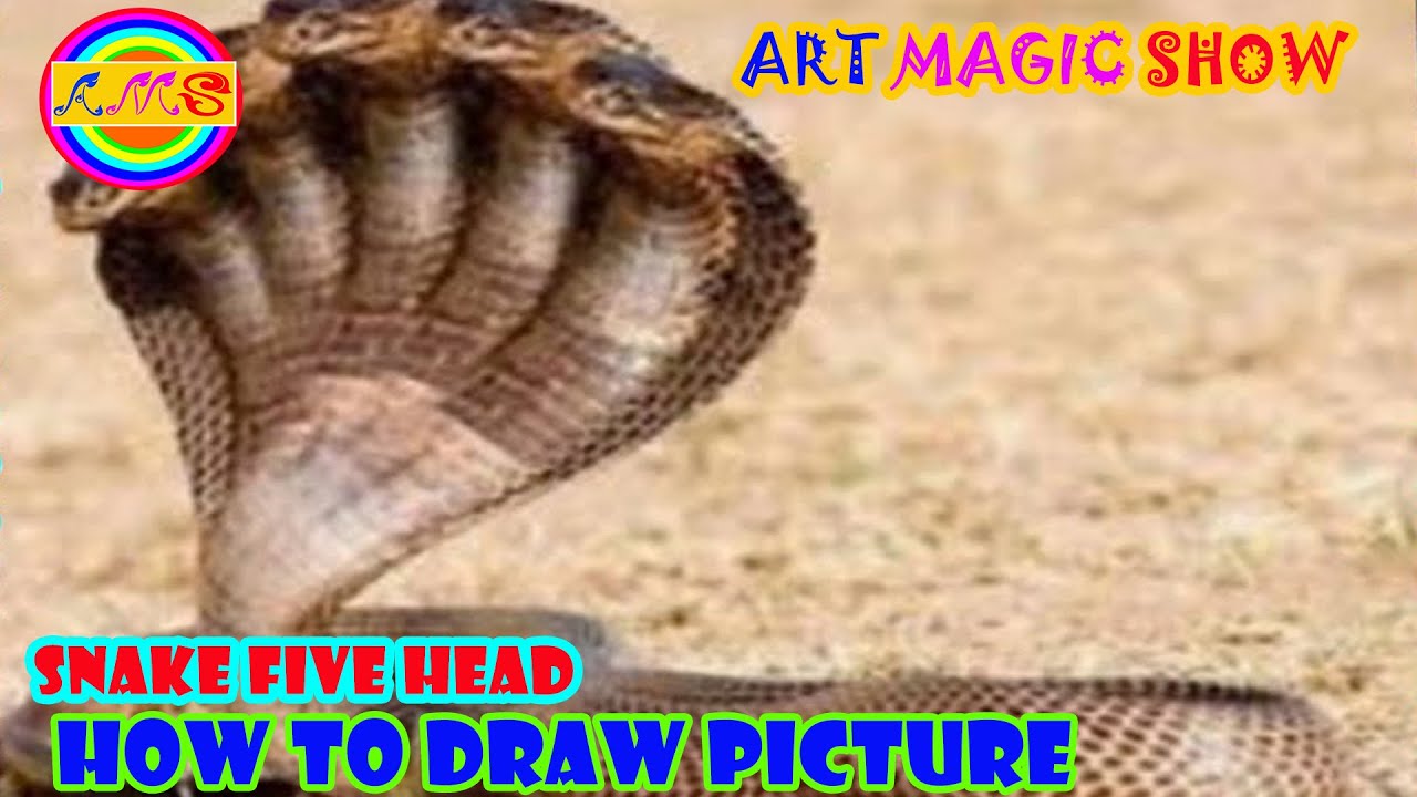 How To Draw 5 Head Snake