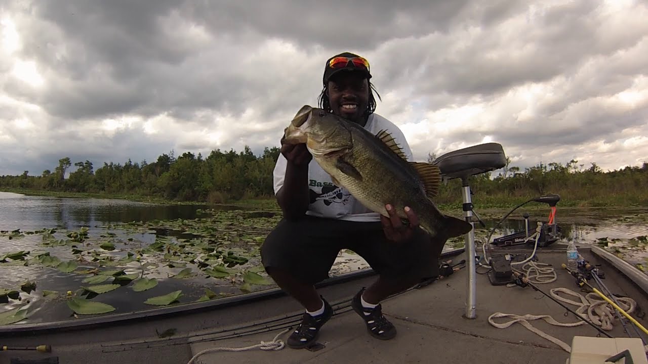 Bass Fishing Frogging at Lake Griffin State Park - YouTube