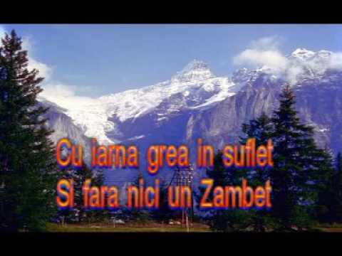 Colaj Natura 2016 - YouTube
