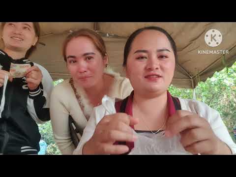 hnub no kuv txiv lawv cov kwv tij ua plig 6 kuv pog o - YouTube