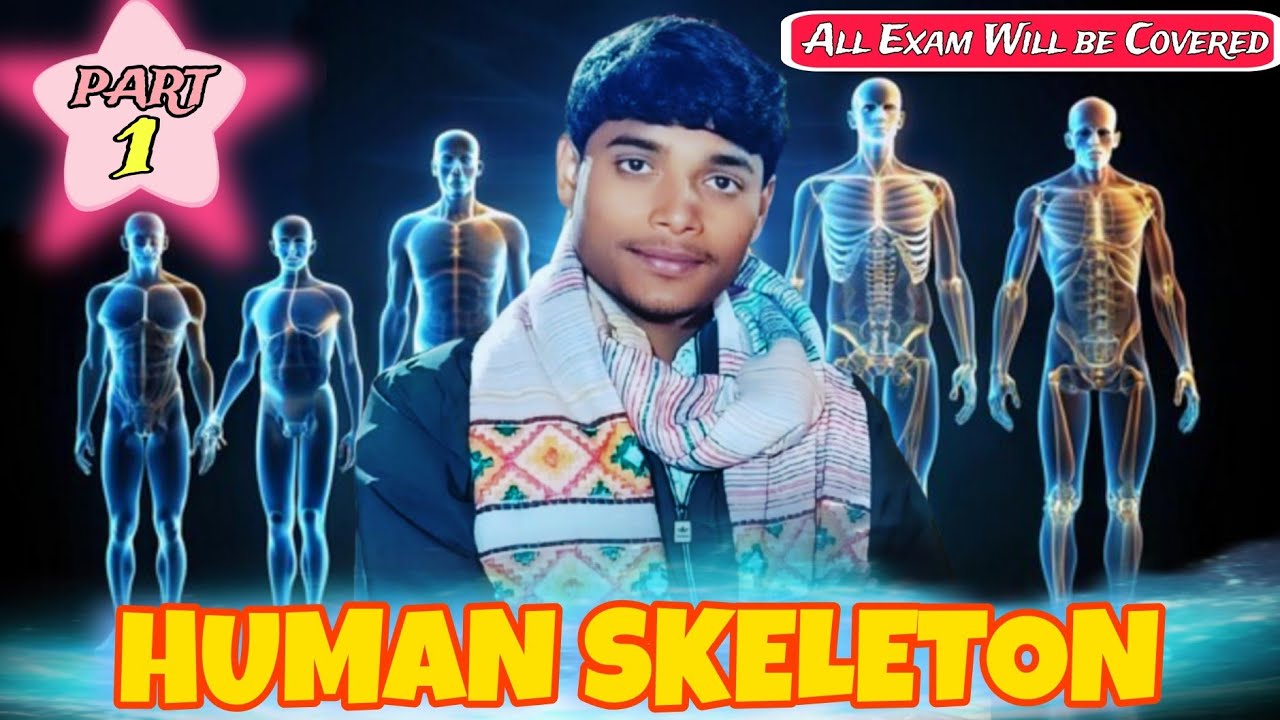 HUMAN SKELETON SYSTEM || मानव कंकाल तंत्र || Biology class 9 || Sachin ...