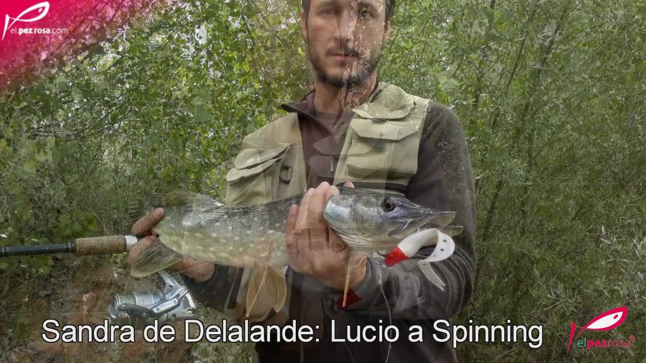 Sandra de Delalande: Lucio a spinning - YouTube