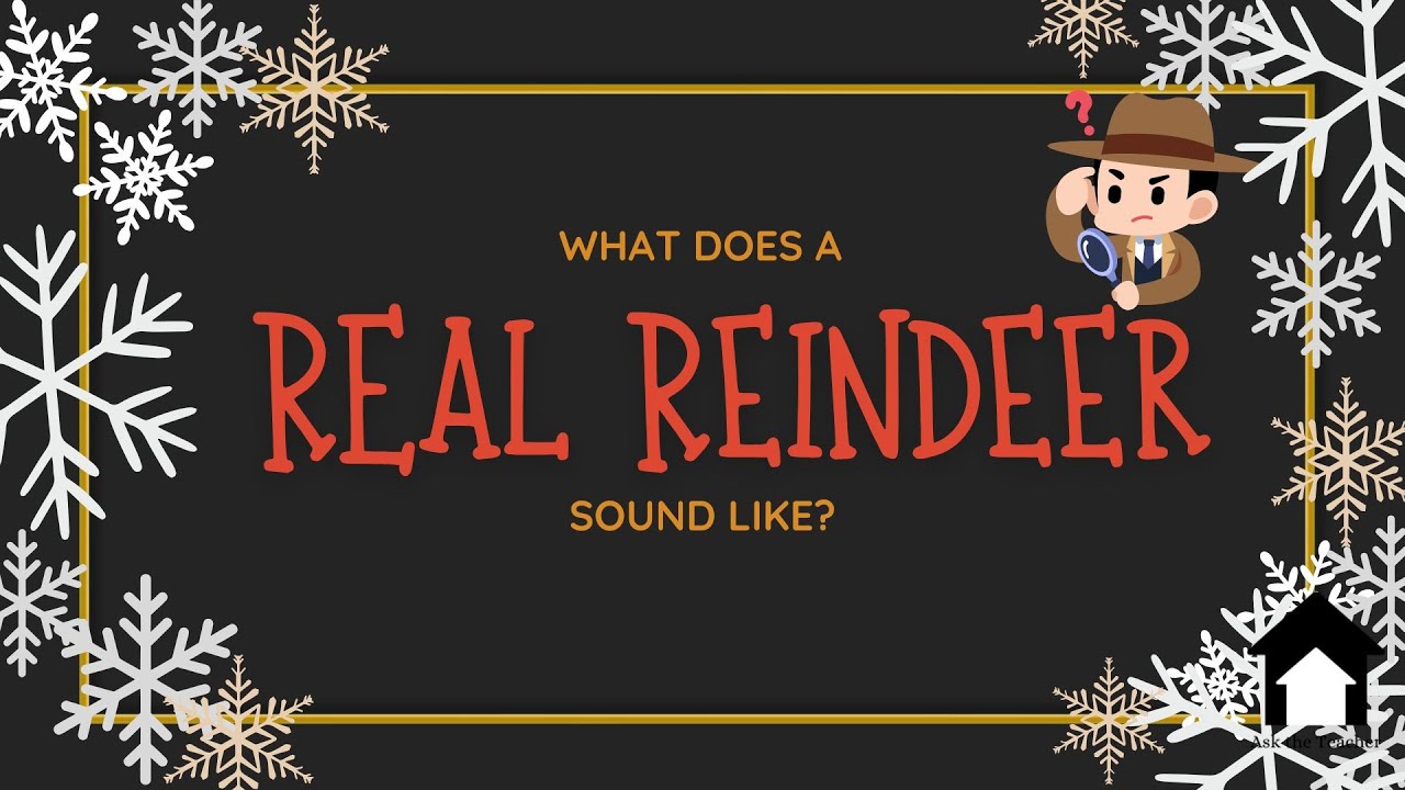 🦌 What Does a Real Reindeer Sound Like? | Fun Classroom Brain Break for ...