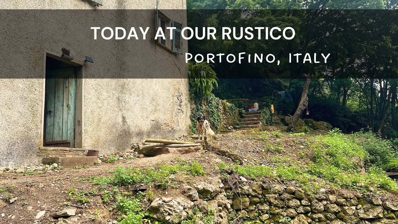 Today At Our Rustico In Portofino, Italy - YouTube
