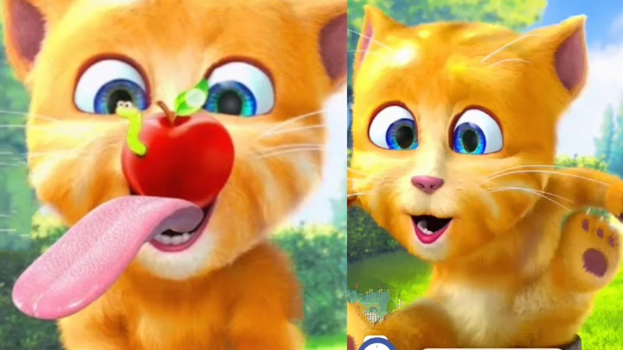 talking ginger funny videos 🍒🍓🙀🐒ll talking ginger eating ll New Game HD ...