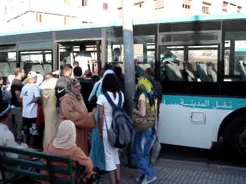 chouha au terminus 65