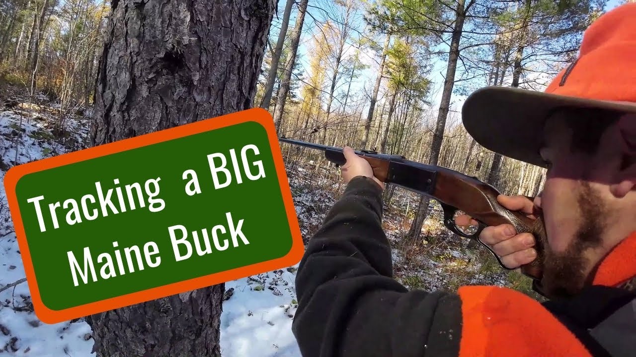 First Snow, First Shots (Maine Buck tracking 2023) - YouTube