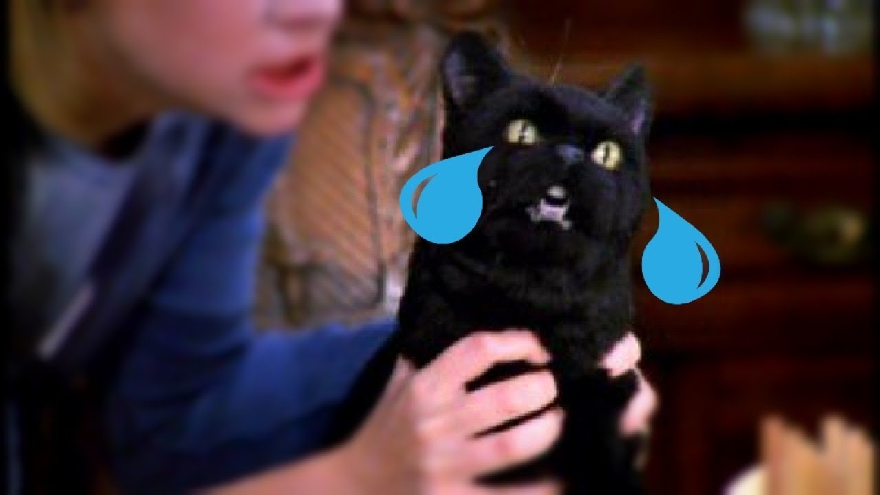 Best of Salem Sobbing - YouTube