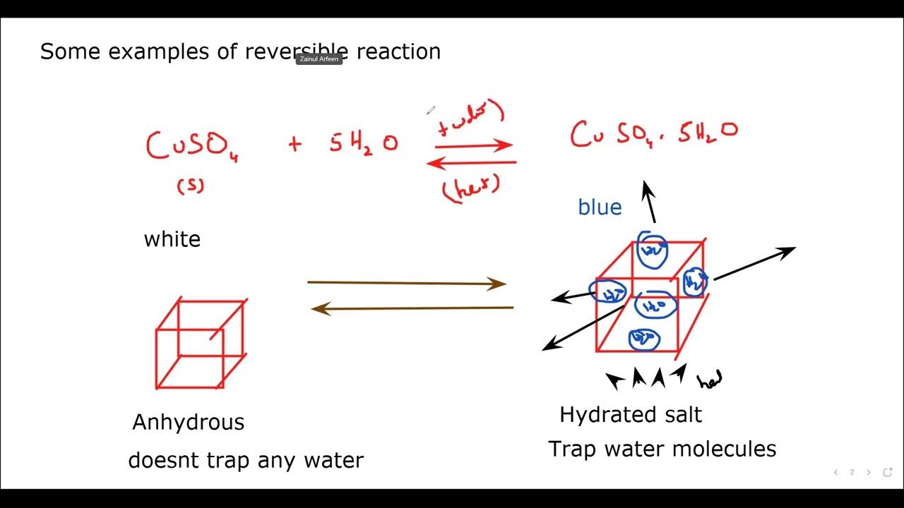 Reversible Reactions and Equilibrium Cambridge IGCSE O level Chemistry ...