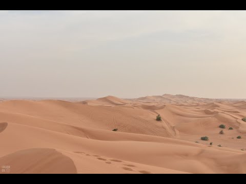 Sharjah Desert