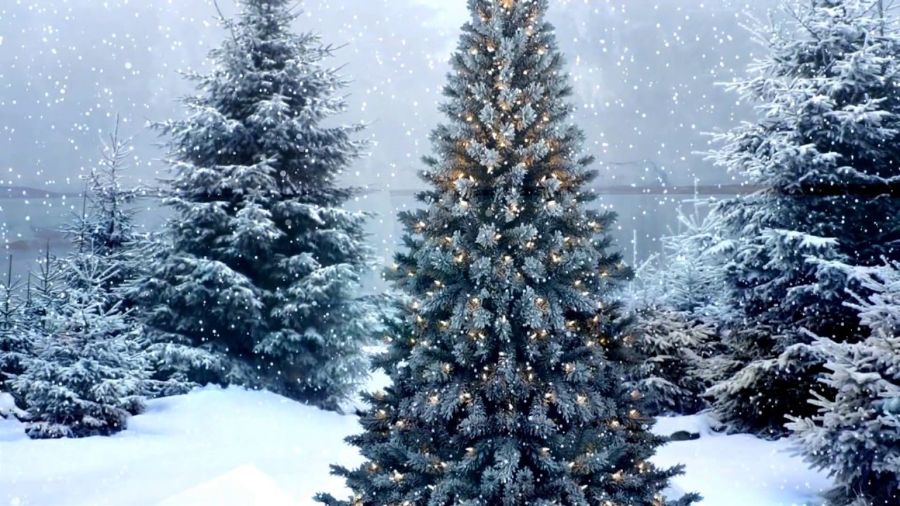 QBIT & JAHMAIKL - Save The CHRISTMAS Trees!!! [karaoke song edit 2018 ...