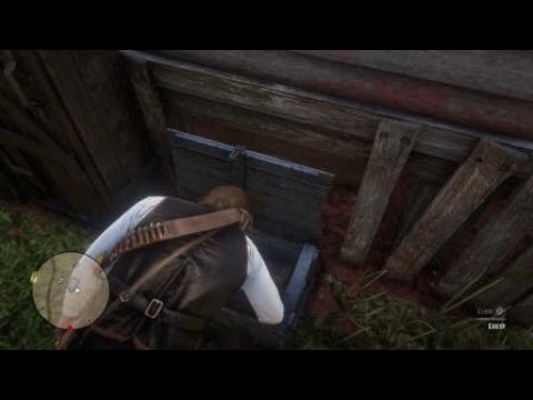 Red Dead Redemption 2 2 years playing rdr2 and this is 1st time seeing ...