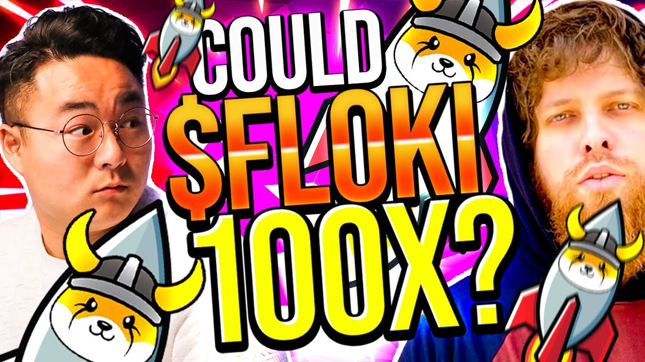 DOGECOIN MILLIONAIRE Glauber Contessoto's Thoughts on $FLOKI + MORE ...