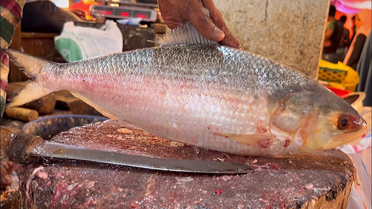 Big Hilsa, Rohu & Tilapia Fish Cutting In Fish Market | Fish Cutting ...