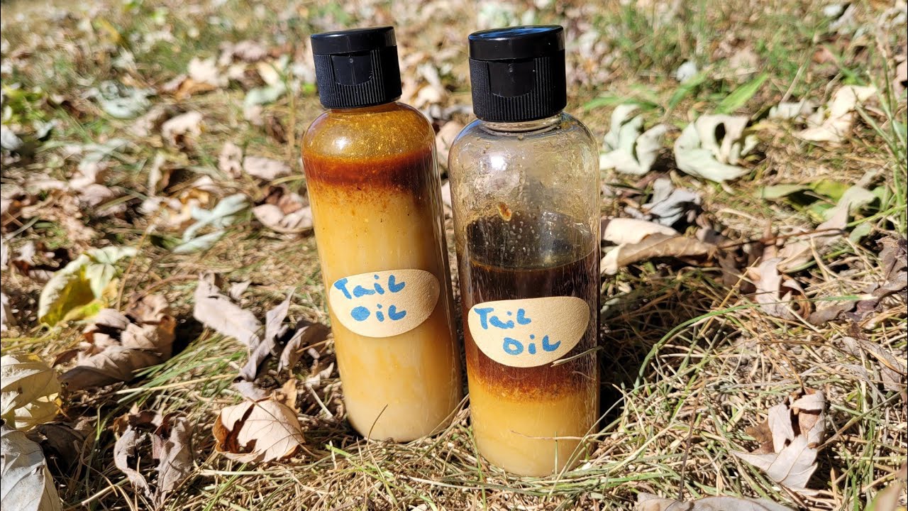 Making Beaver Tail Oil For Trapping - YouTube