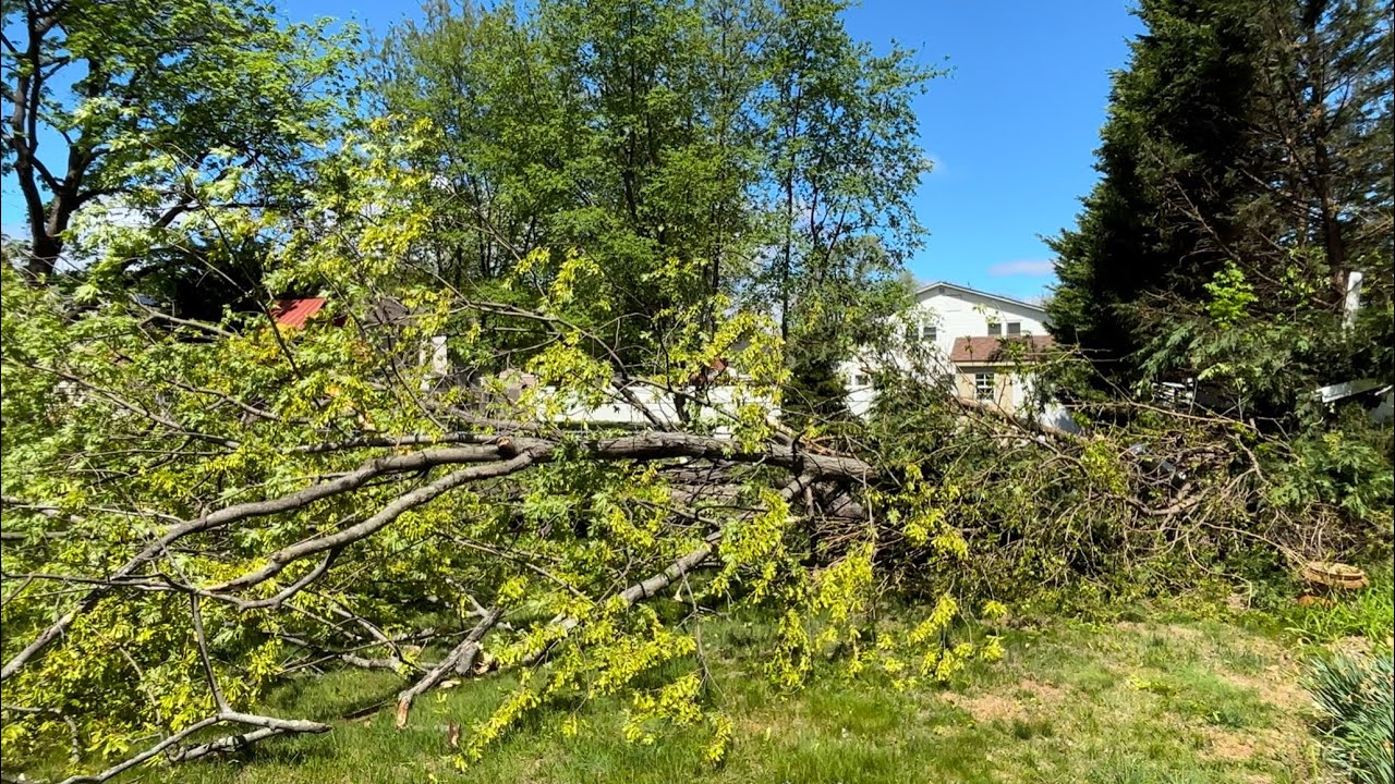 GWC Weather Footage - Gusty Winds Down Tree - April 27, 2025 - YouTube