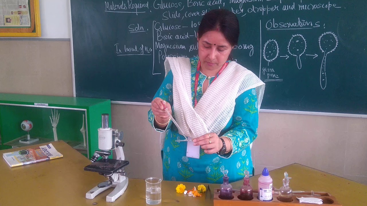 Practical ,class 12 Biology, Pollen germination - YouTube