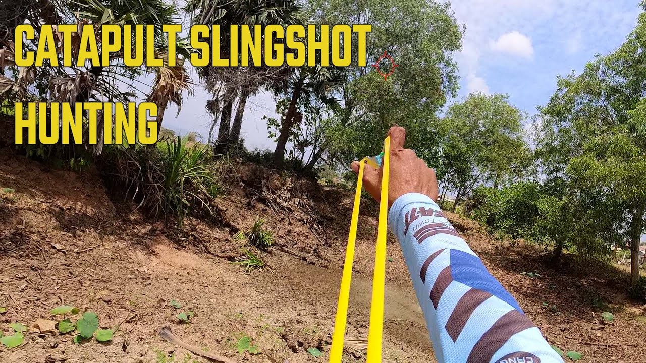 Let's go hunting EP 52 (part 2 ) #Catapult #Slingshot#hunting #Action # ...