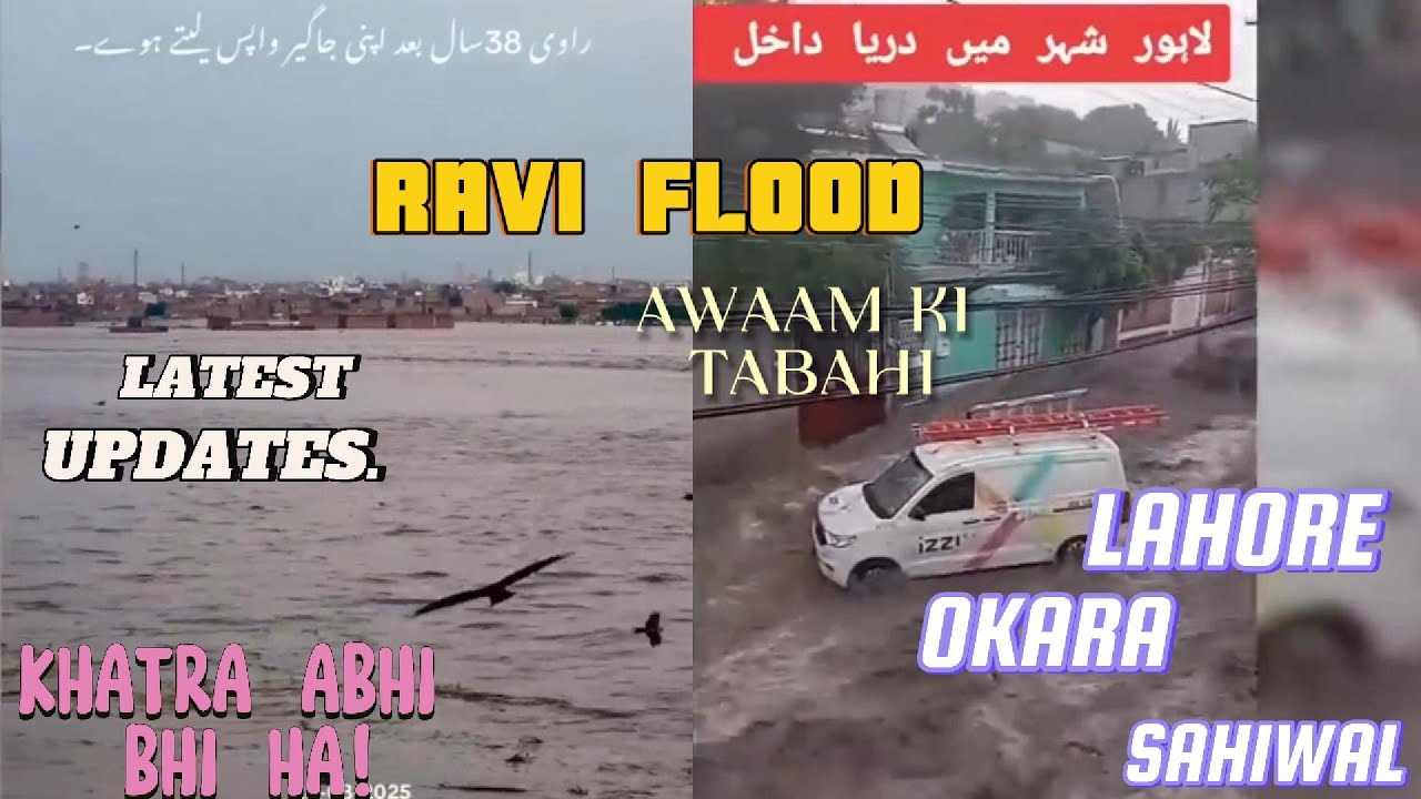 RAVI FLOOD LATEST UPDATES | RAVI PAKISTAN |RAVI KA SELAAB |BREAKING ...