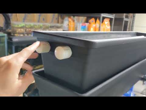 DIY trickle filter. 75 gallon tank progress. - YouTube