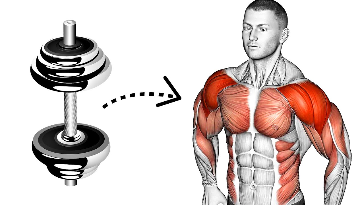 Dumbbell Only Full Body Workout - YouTube