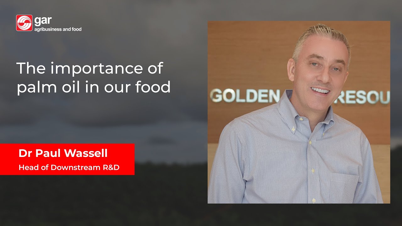 The importance of palm oil in our food - YouTube